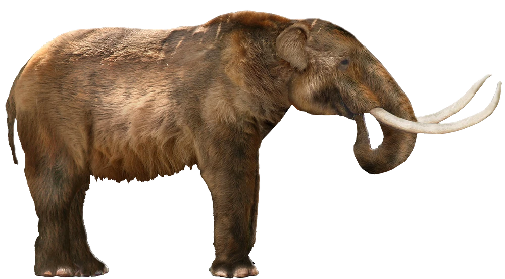 American Mastodon | Scratchpad Video Wiki | Fandom