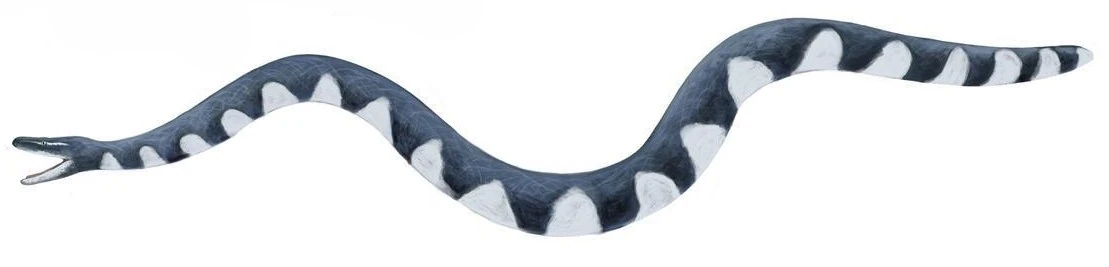 Palaeophis | Scratchpad Video Wiki | Fandom