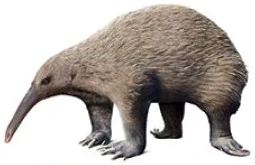 Murrayglossus | Scratchpad Video Wiki | Fandom