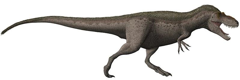Daspletosaurus | Scratchpad Video Wiki | Fandom
