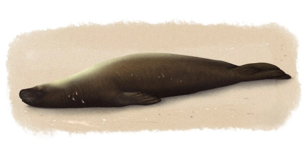 Hadrokirus | Scratchpad Video Wiki | Fandom