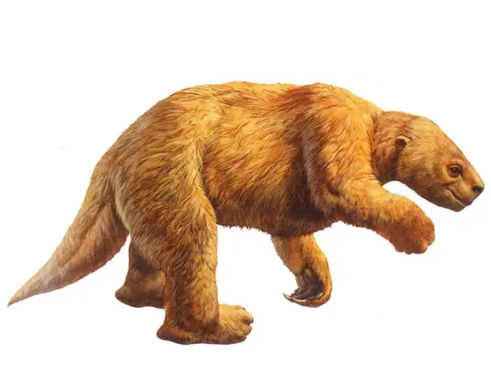 Paramylodon | Scratchpad Video Wiki | Fandom