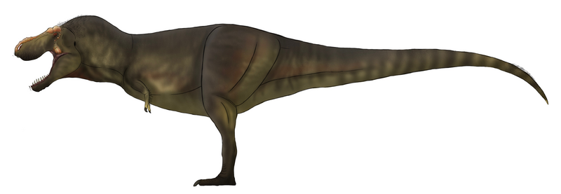 Zhuchengtyrannus | Scratchpad Video Wiki | Fandom