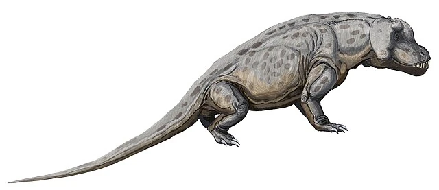 Anteosaurus | Scratchpad Video Wiki | Fandom