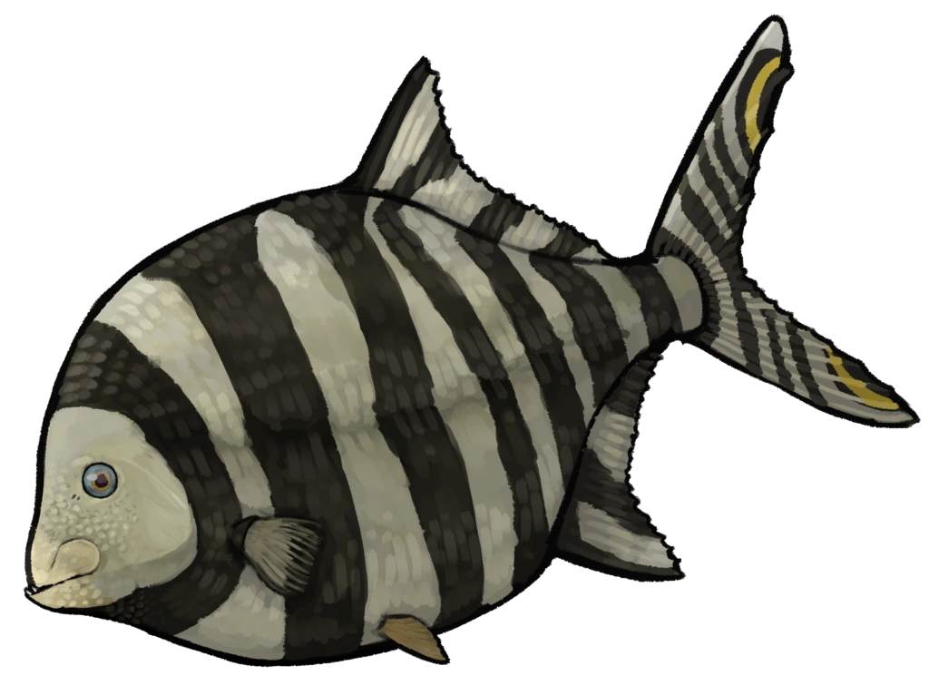 Gyrodus | Scratchpad Video Wiki | Fandom