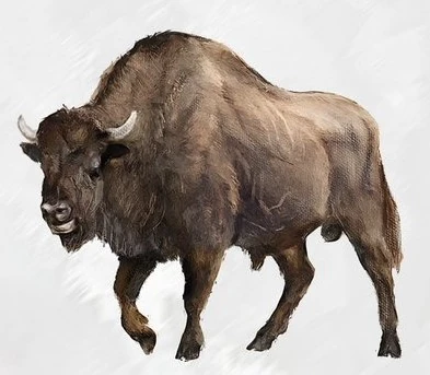 Pleistocene Wood Bison | Scratchpad Video Wiki | Fandom