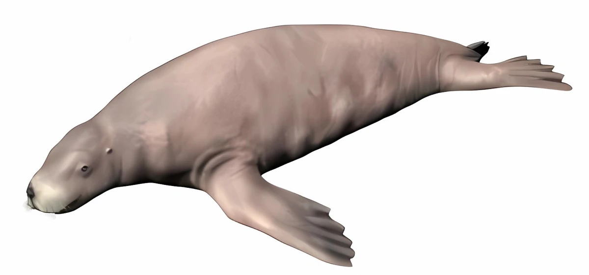 Dusignathus | Scratchpad Video Wiki | Fandom