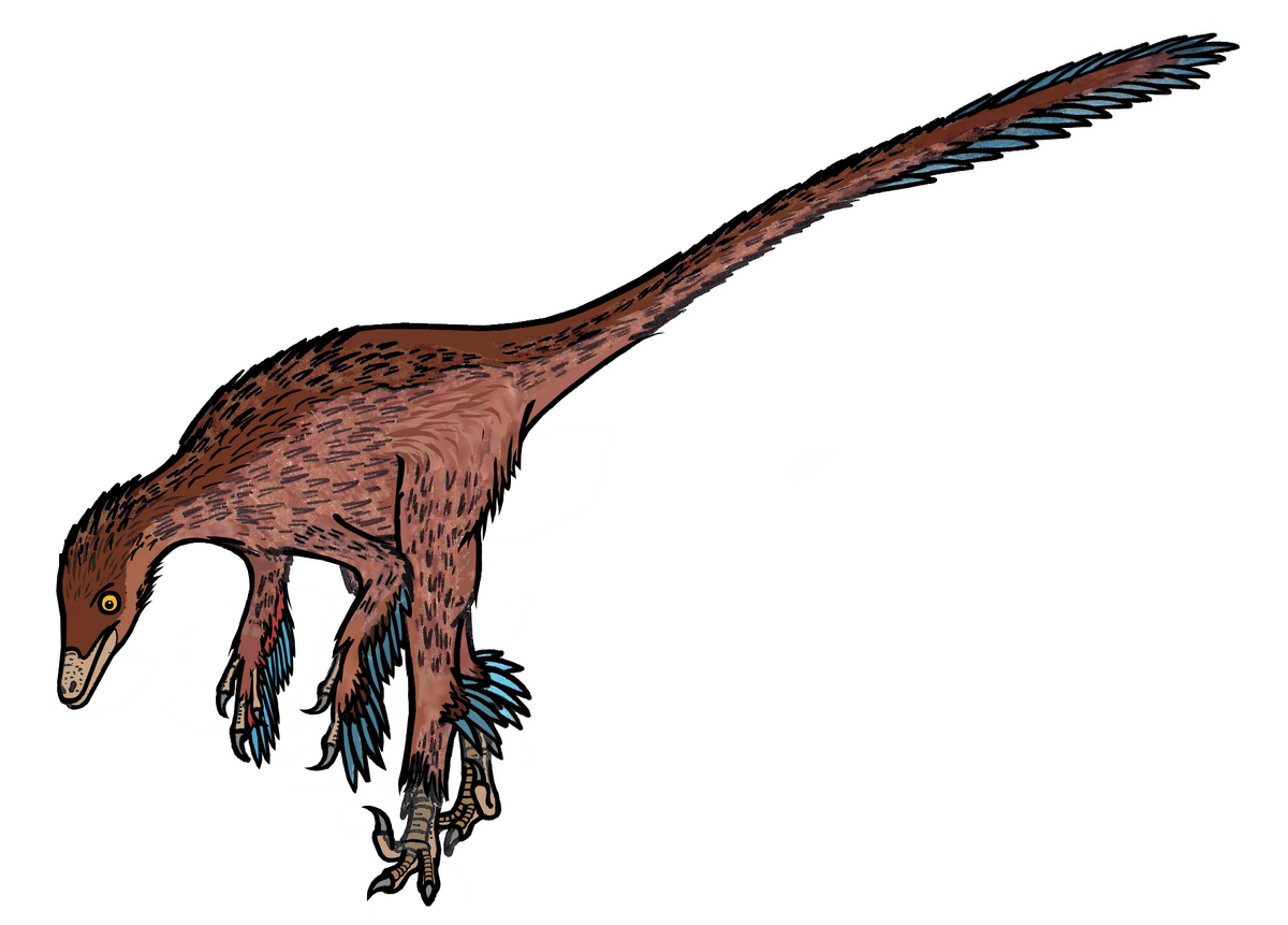 Troodon Scratchpad Video Wiki Fandom