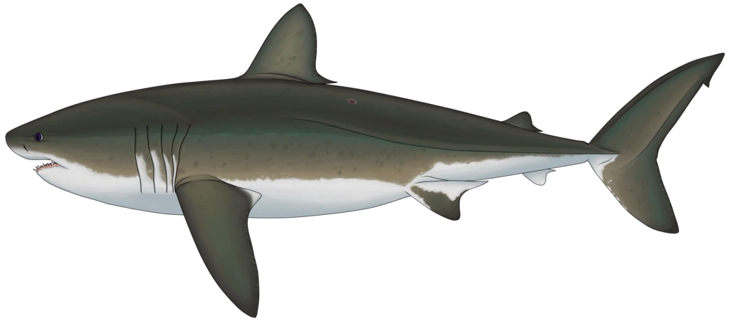 Cardabiodon | Scratchpad Video Wiki | Fandom