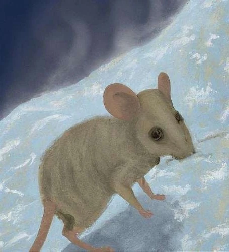 Sikuomys | Scratchpad Video Wiki | Fandom