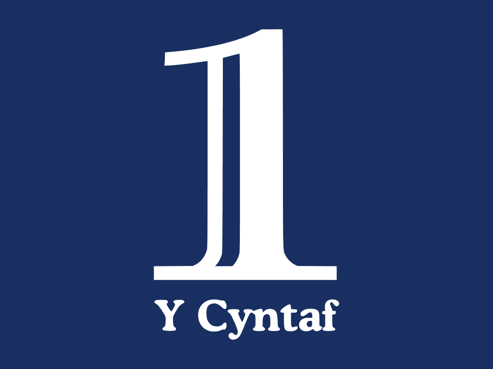 Teledu Cenedlaethol Cyntaf | The Fiki | Fandom