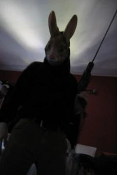 Rabbit Mask | Wikia Scream Queens Fanon | Fandom
