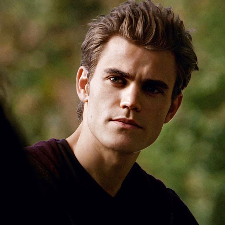 Stefan Salvatore Wiki Screenverse Fandom