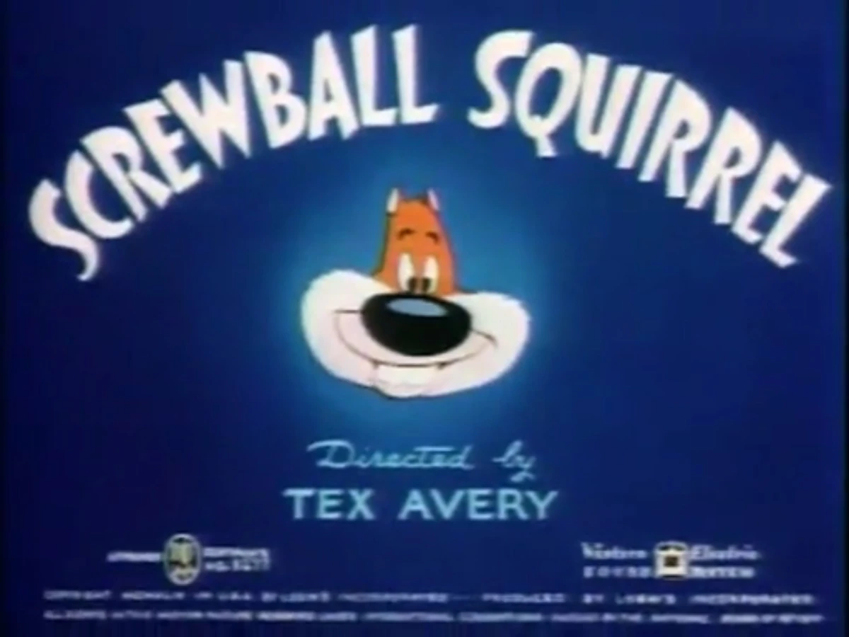 Screwball Squirrel | Screwy Squirrel Wikia | Fandom