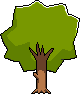 Tree | Scribblenauts Wiki | Fandom