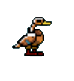 Duck | Scribblenauts Wiki | Fandom