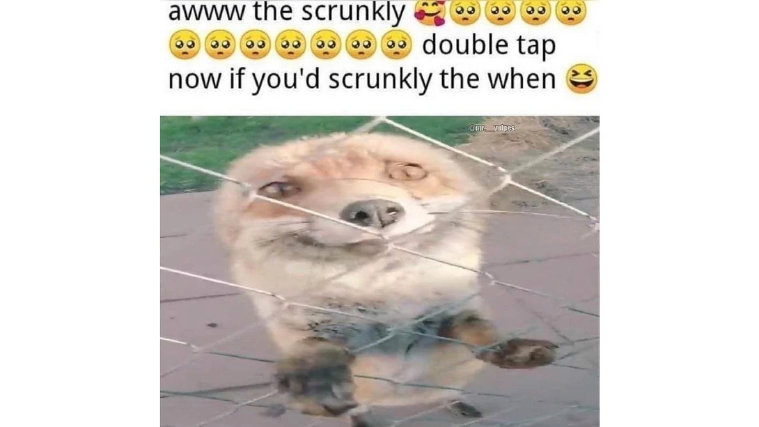 The Skrunkly | Scrimblo Wiki | Fandom