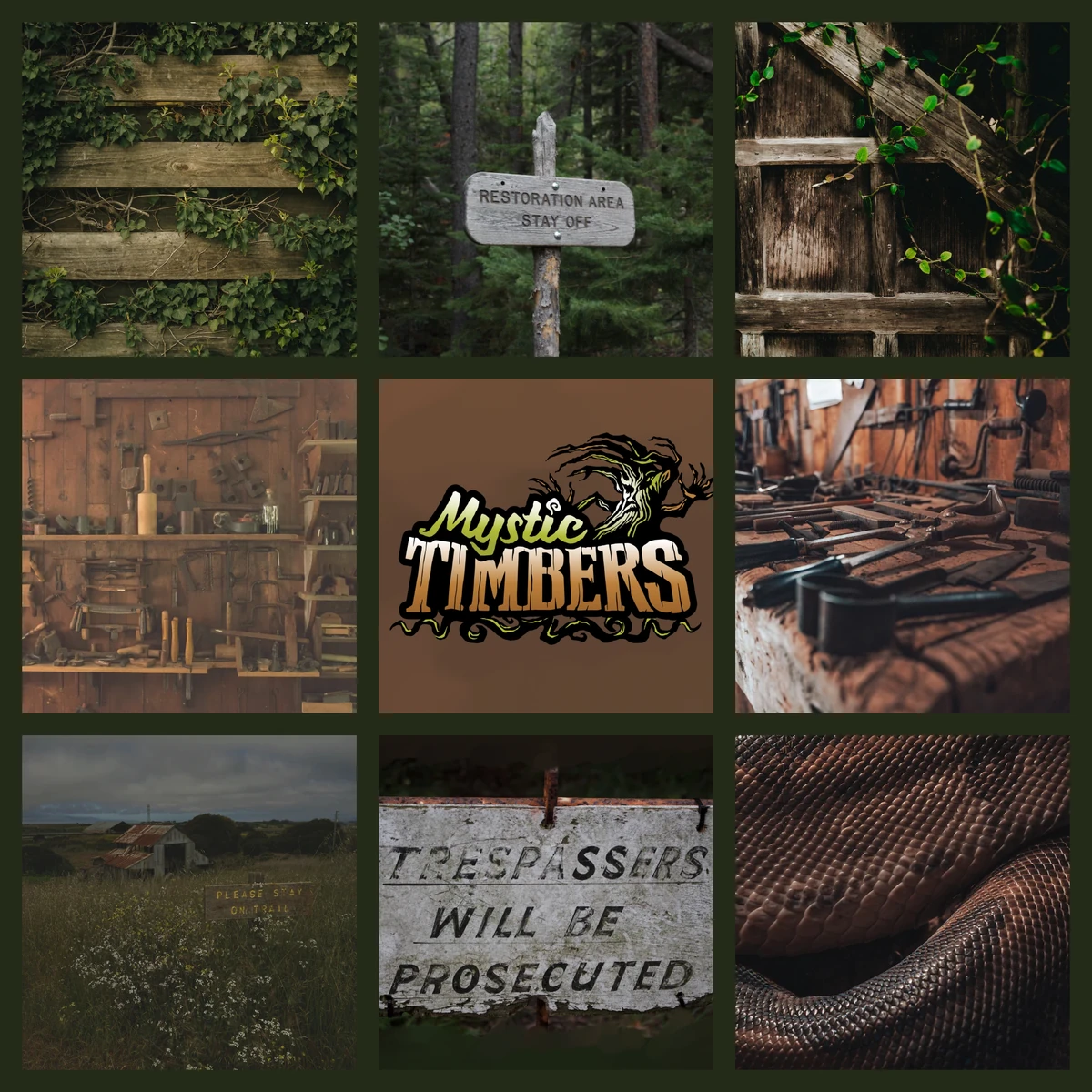 Aspen/Gallery | Scroll’s Storage Wiki | Fandom