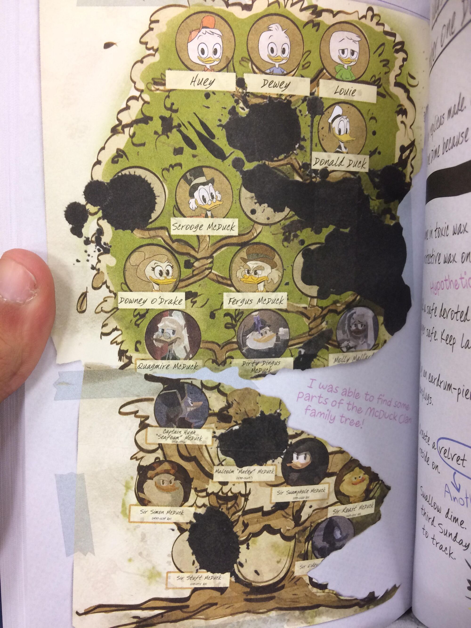 DuckTales 2017’s Duck Family Tree | Scrooge McDuck Wikia | Fandom