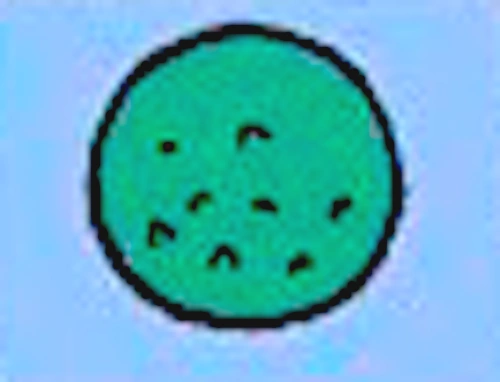 Green Moon | Scrooge McDuck Wikia | Fandom