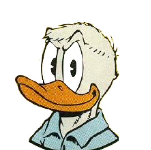 Eider Duck | Scrooge McDuck Wikia | Fandom