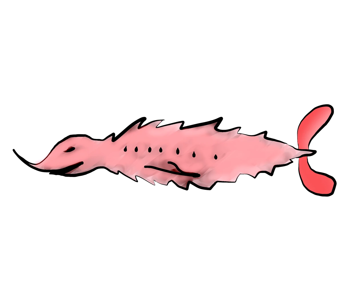 Squigg | Scrooge McDuck Wikia | Fandom