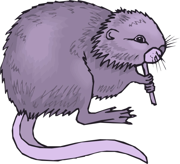 Mélange of the Mauve Muskrat | Scrooge McDuck Wikia | Fandom