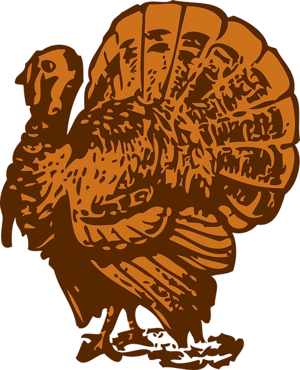 Trio of the Talking Turkeys | Scrooge McDuck Wikia | Fandom