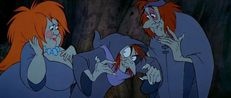 Witches of Morva | Scrooge McDuck Wikia | Fandom