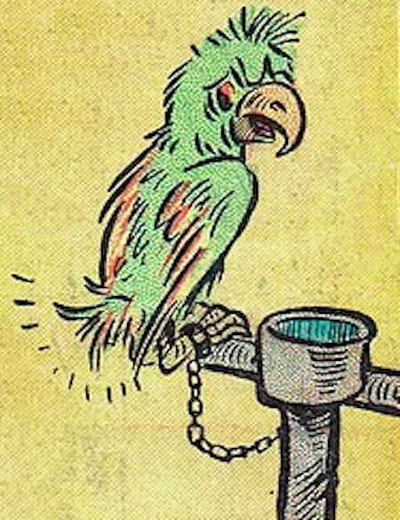 Jacko the Parrot | Scrooge McDuck Wikia | Fandom