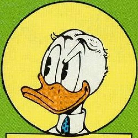 Category:Ducks | Scrooge McDuck Wikia | Fandom