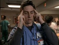 Season One | Scrubs Wiki | Fandom