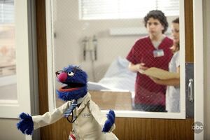 Grover | Scrubs Wiki | Fandom