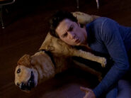 Rowdy | Scrubs Wiki | Fandom