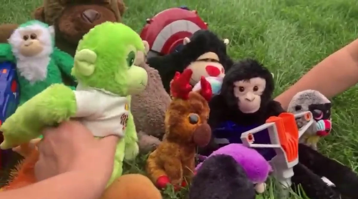 The Monkey Gang | Scrubsbasut Wiki | Fandom