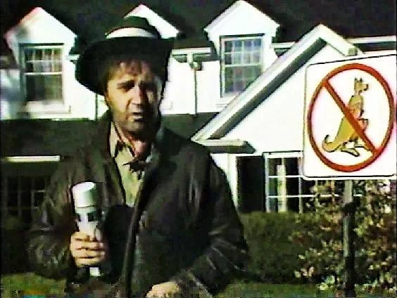 Category:One Time Appearance Characters | SCTV Wiki | Fandom