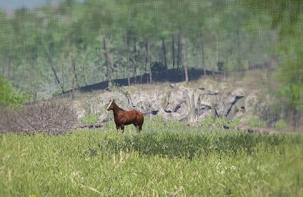 Pferd | SCUM Wiki Deutschland Wiki | Fandom