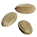 Carrot Seeds - Official Scum Wiki