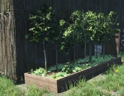 Garden Plot - Official Scum Wiki