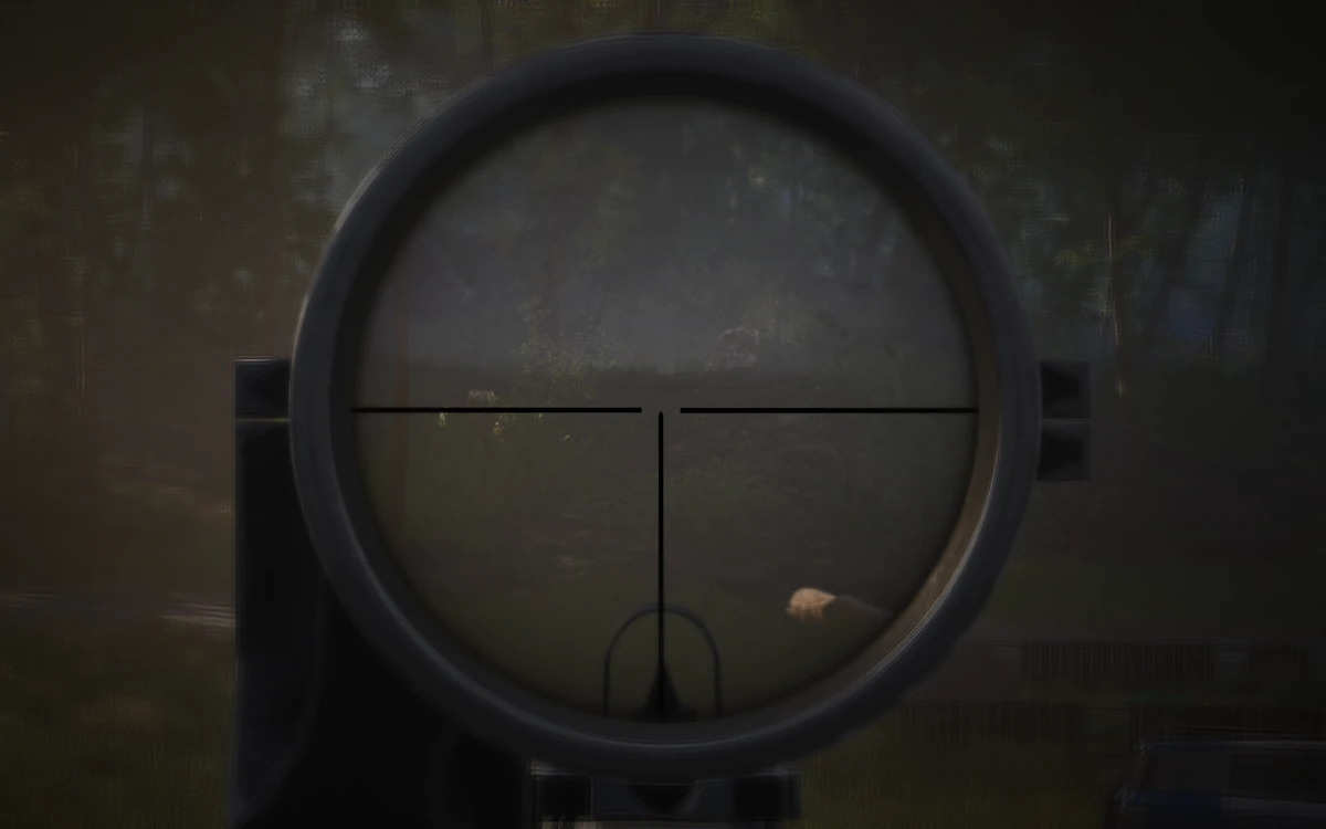 Scopes - Official Scum Wiki