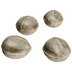 Cannabis Seeds - Official Scum Wiki