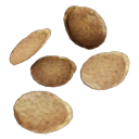 Potato Seeds - Official Scum Wiki