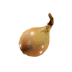 Red Onion Seeds - Official Scum Wiki