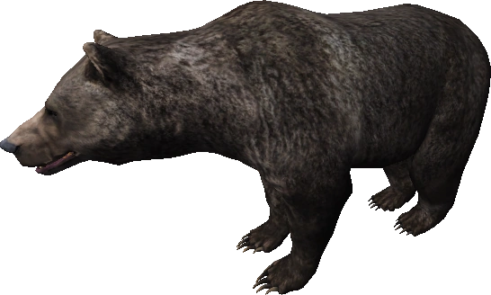 Category:Animals - Official Scum Wiki