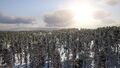 Scum Island - Official Scum Wiki