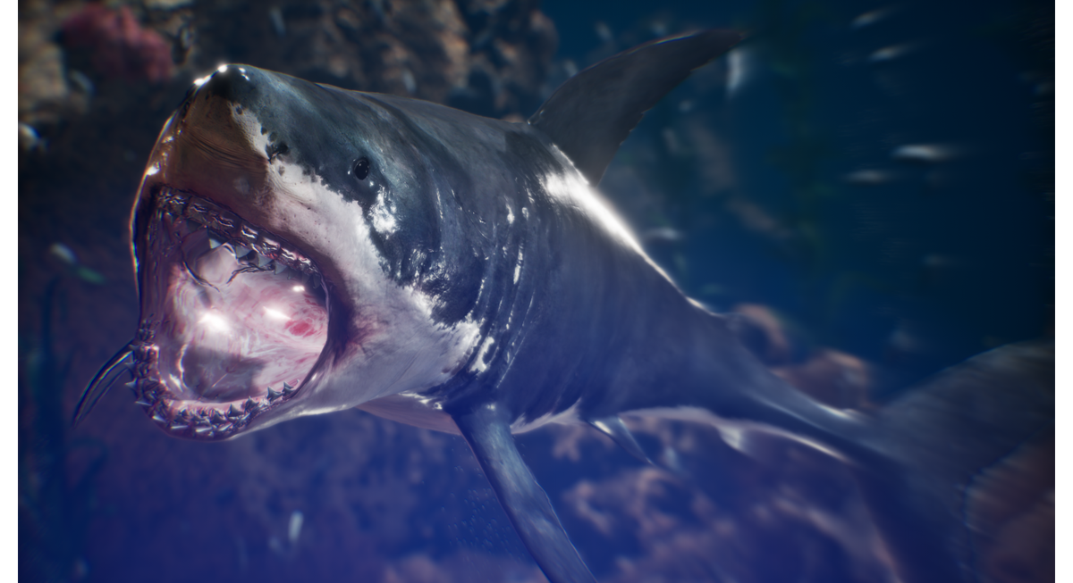 Shark - Official Scum Wiki
