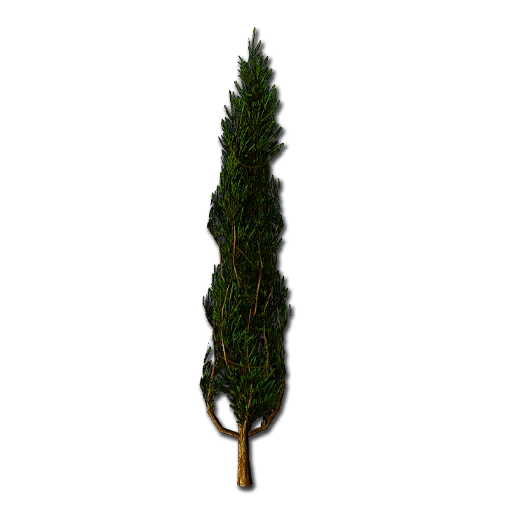 Folded Douglas Fir - Official Scum Wiki