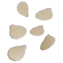 Tomato Seeds - Official Scum Wiki