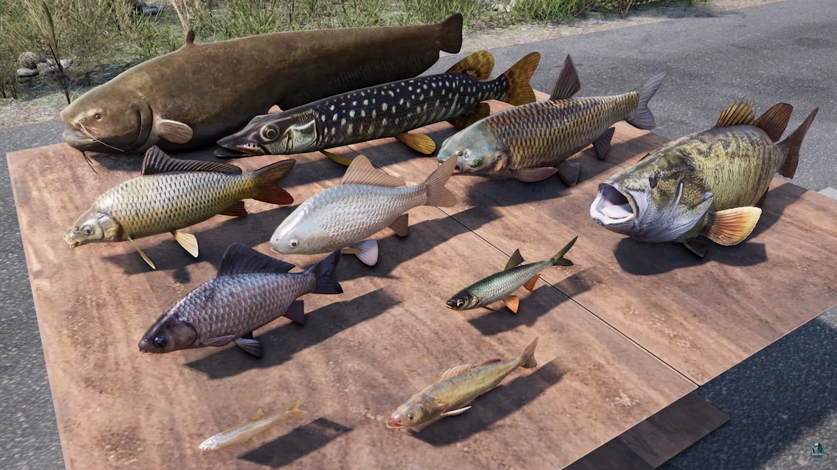 Item IDs/Fishing - Official Scum Wiki