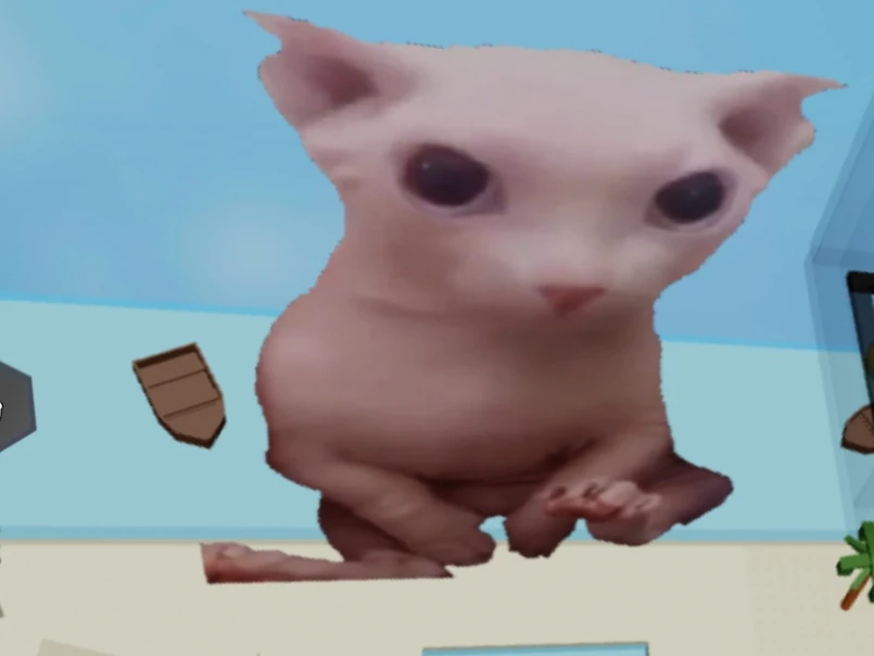 Bingus | Survive The Disasters: Reborn Wiki | Fandom